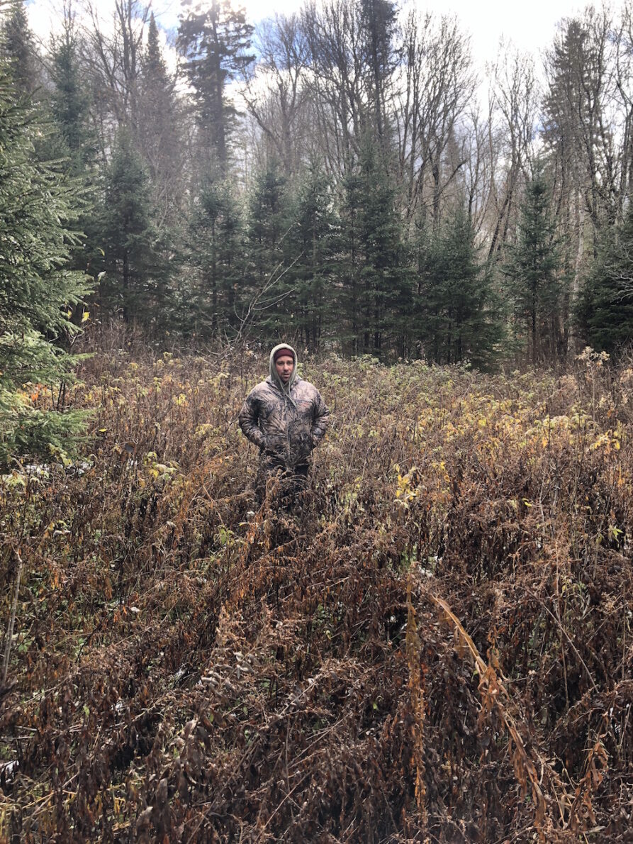 Caribou à la chasse au chevreuil - Caribou
