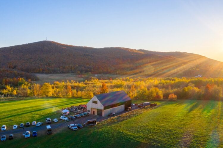 L’avènement des fermes brassicoles au Québec - Caribou